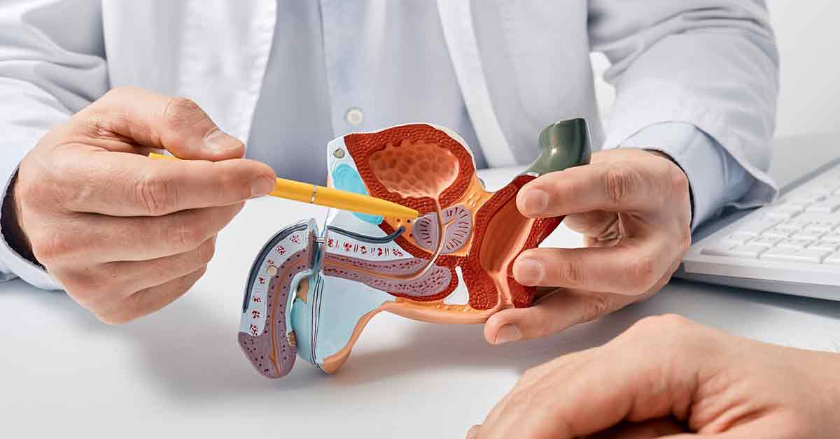 What is the Prostate in Men and How is it Treated? - Video